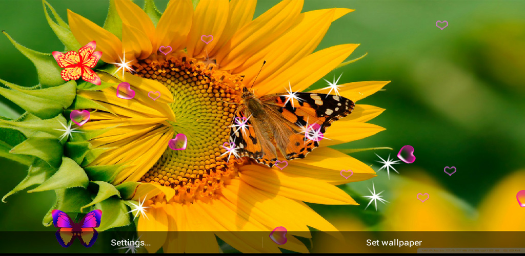 3D Sunflower Live Wallpapers:Amazon.fr:Appstore for Android