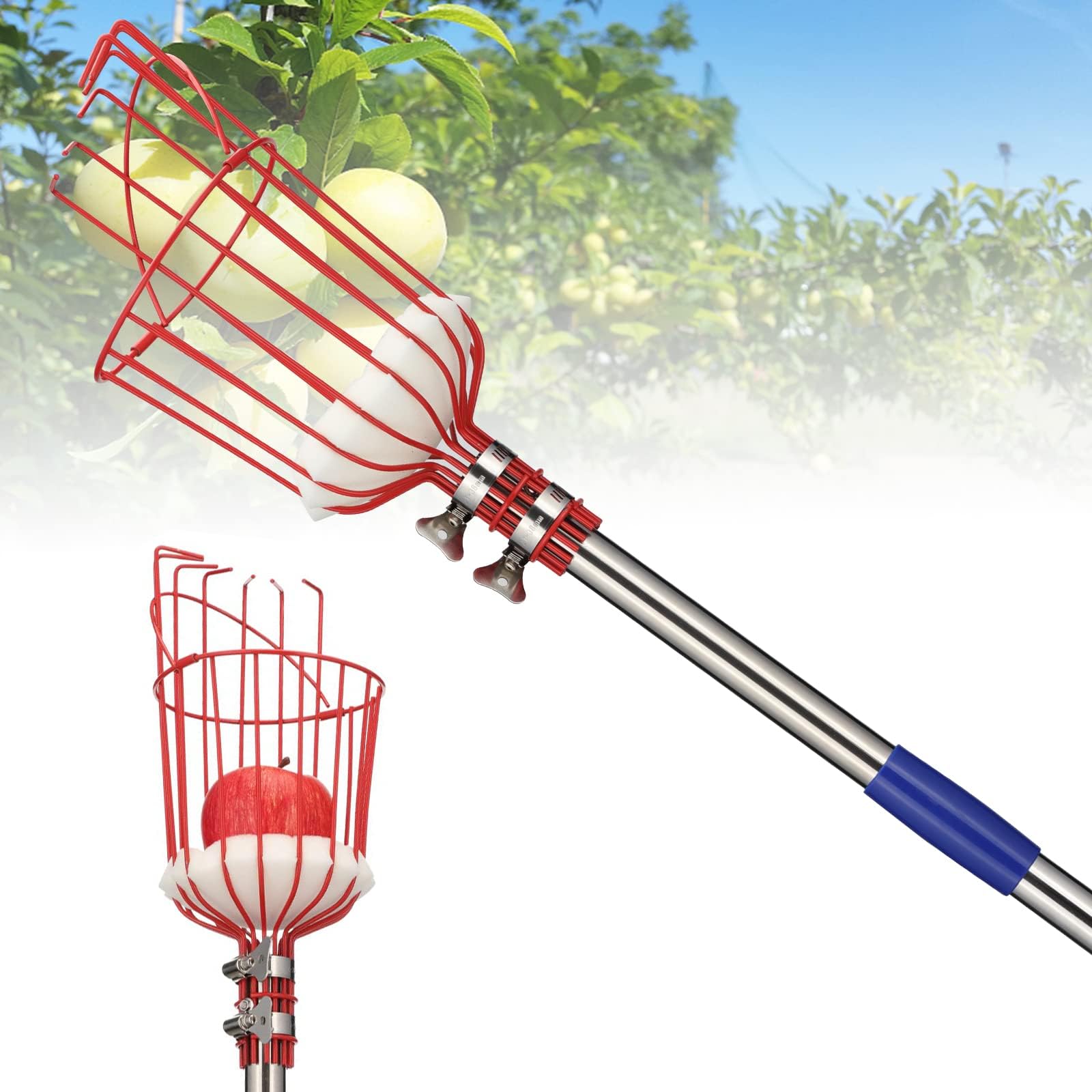 Amazon.com : EXTEND-A-REACH Fruit Picker Basket Only // Twist-On Apple ...