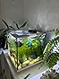 Interpet Aqua Cube Glass Fish Tank Aquarium with Integrated LED ...