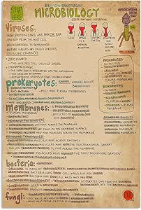 Amazon.com: Maikeway Microbiology Infographics Metal Tin Signs ...