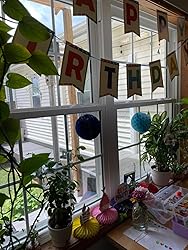 Amazon.com: 350 Pcs Rainbow Happy Birthday Decorations Kit - All-in-One ...