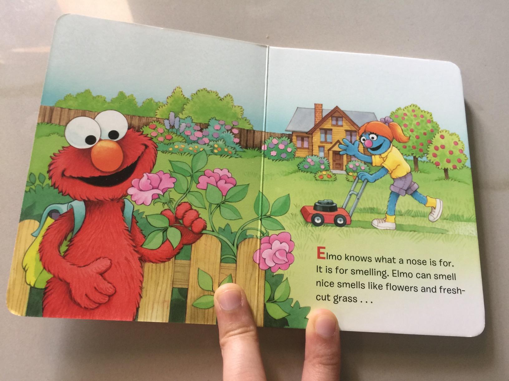 Elmo Can... Taste! Touch! Smell! See! Hear! (Sesame Street) : Muntean ...