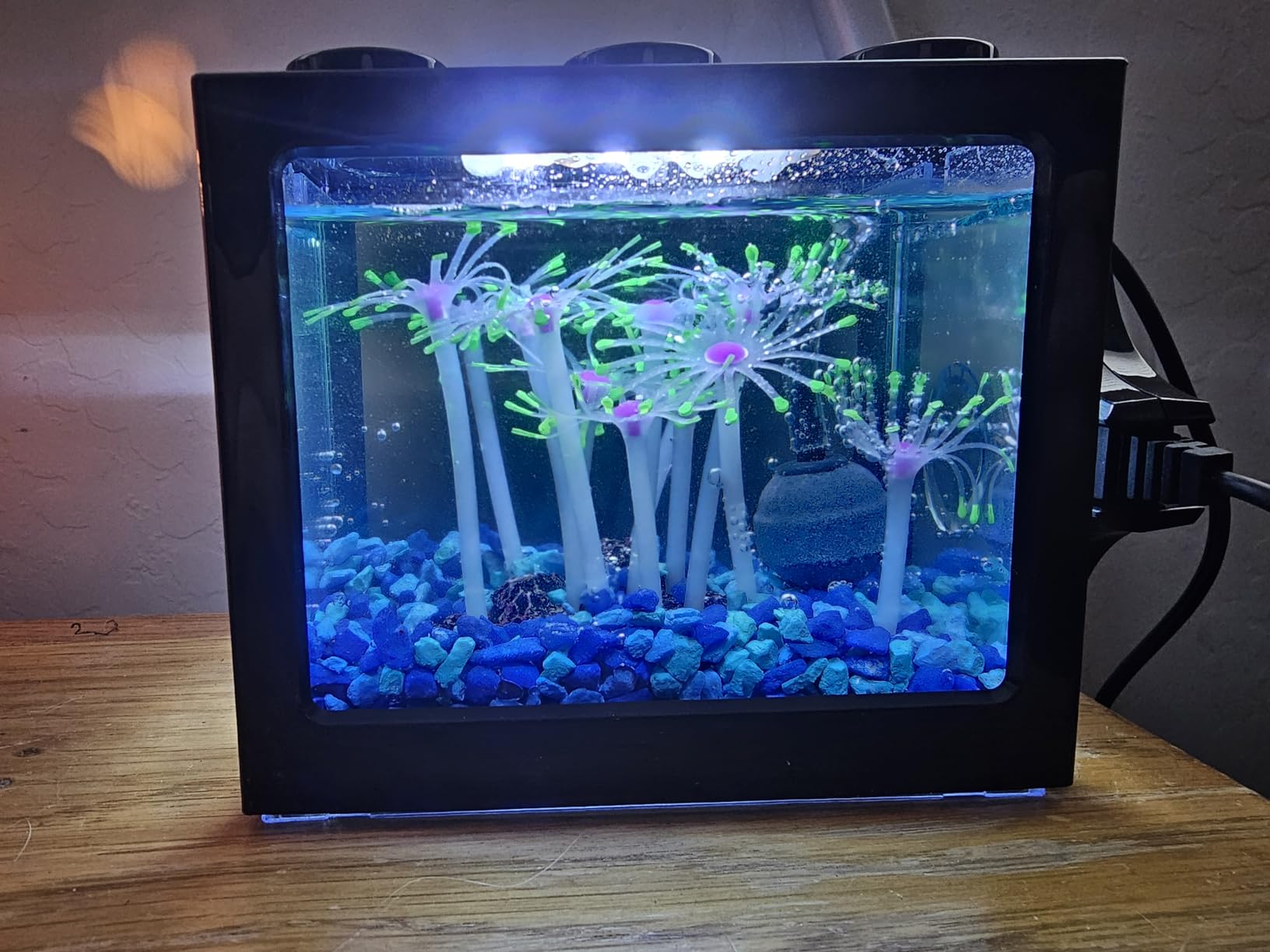 Amazon.com : Small Fish Tank, Acrylic Mini Fish Tank Desktop Mini ...
