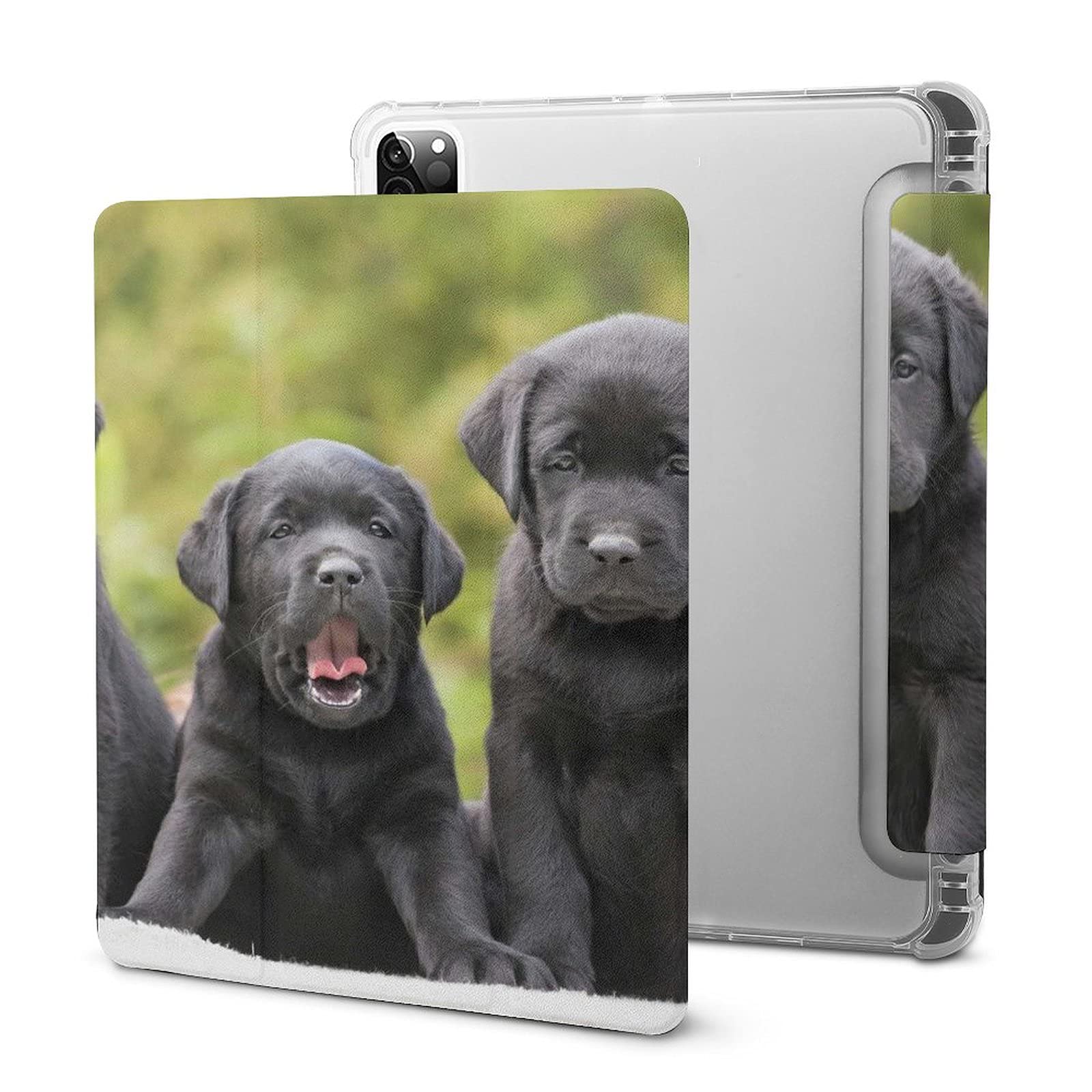 Are Labrador Protective