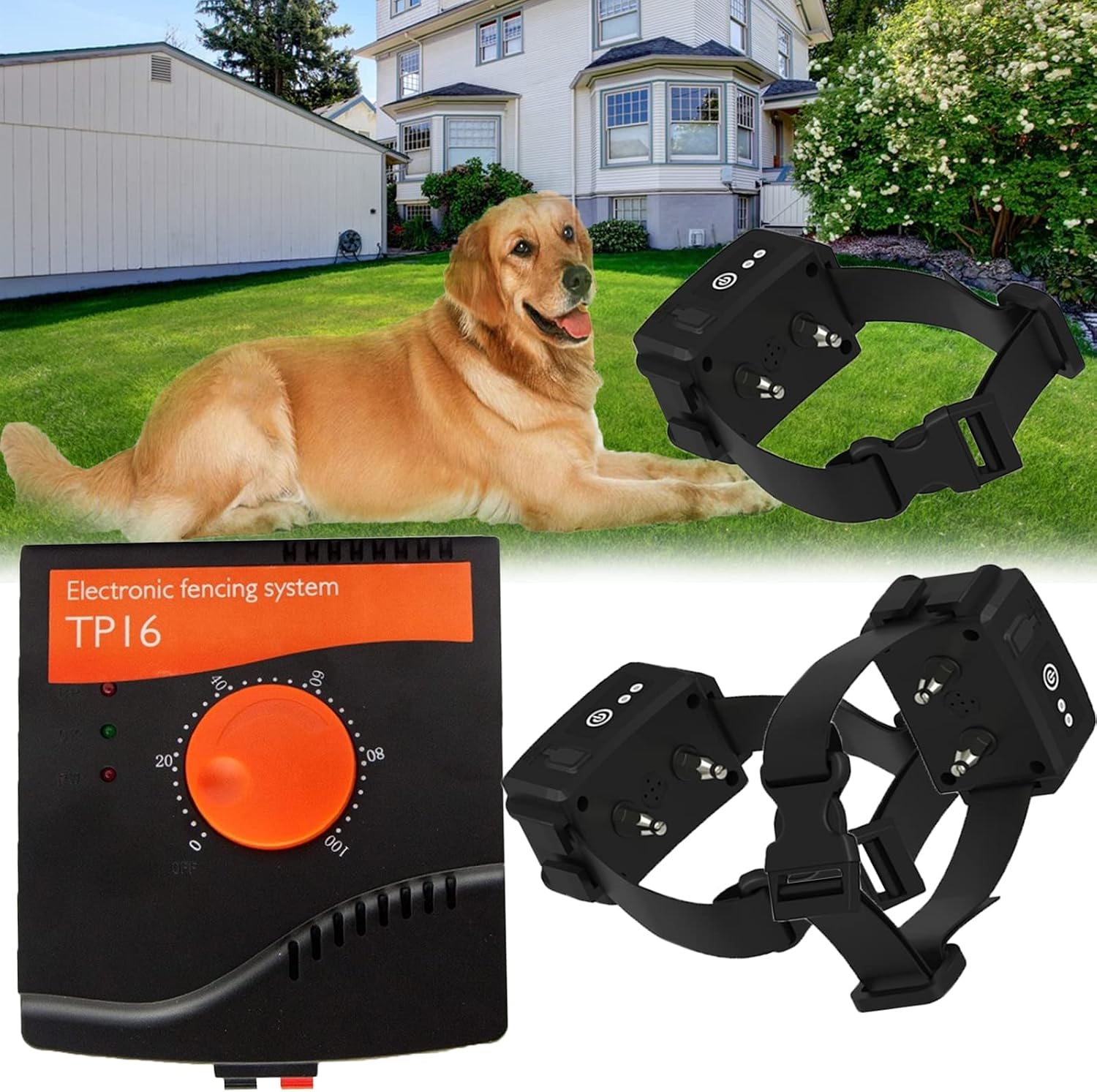 Amazon.com: HEXIEDEN Electric Dog Fence,Underground Pet Boundary ...