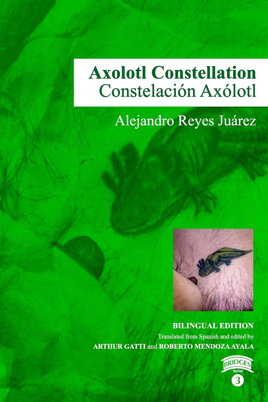 Axolotl Constellation, Vol.3 (Bridges): Reyes Juarez, Alejandro, Arthur ...