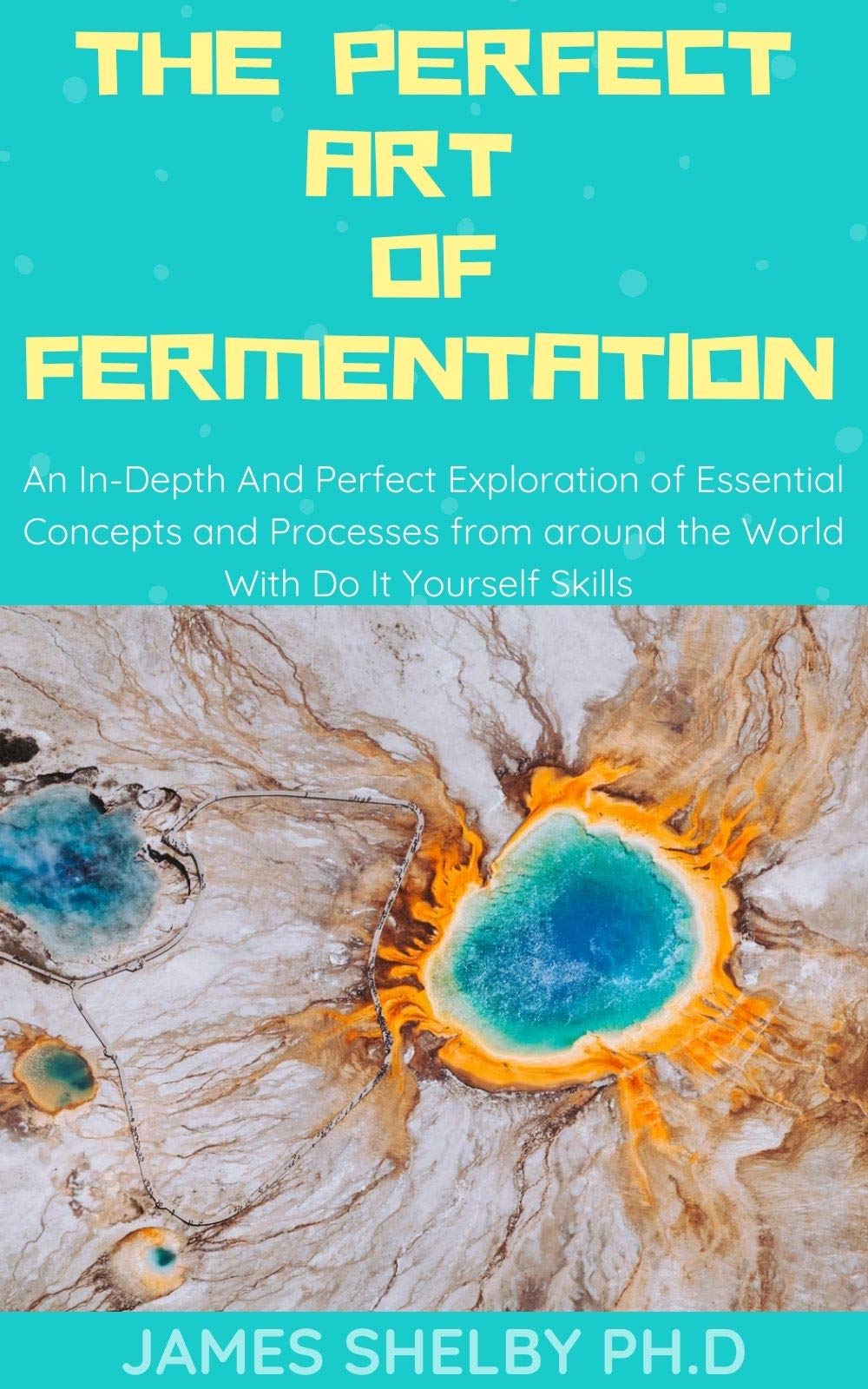 Buy THE PERFECT ART OF FERMENTATION : An In-Depth And Perfect ...