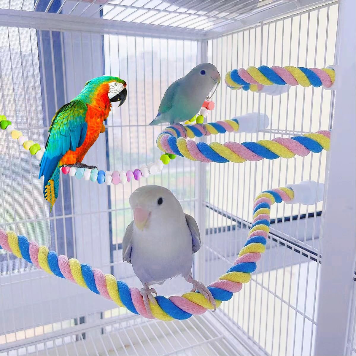 Amazon.com : 4 Pieces Bird Ladder Bridge Parrot Bird Cage Ladder, Bird ...