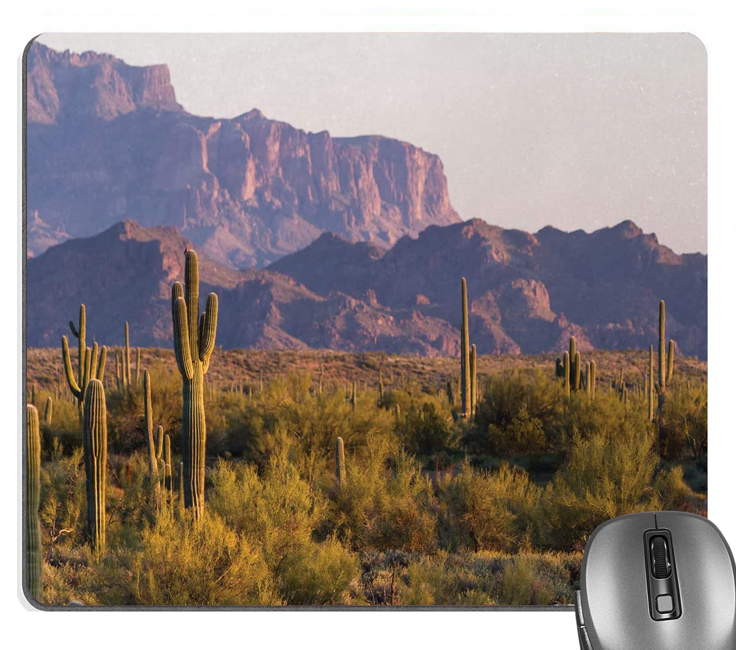 Amazon.com: knseva Saguaro Mouse Pad, Arizona Desert Landscape with ...