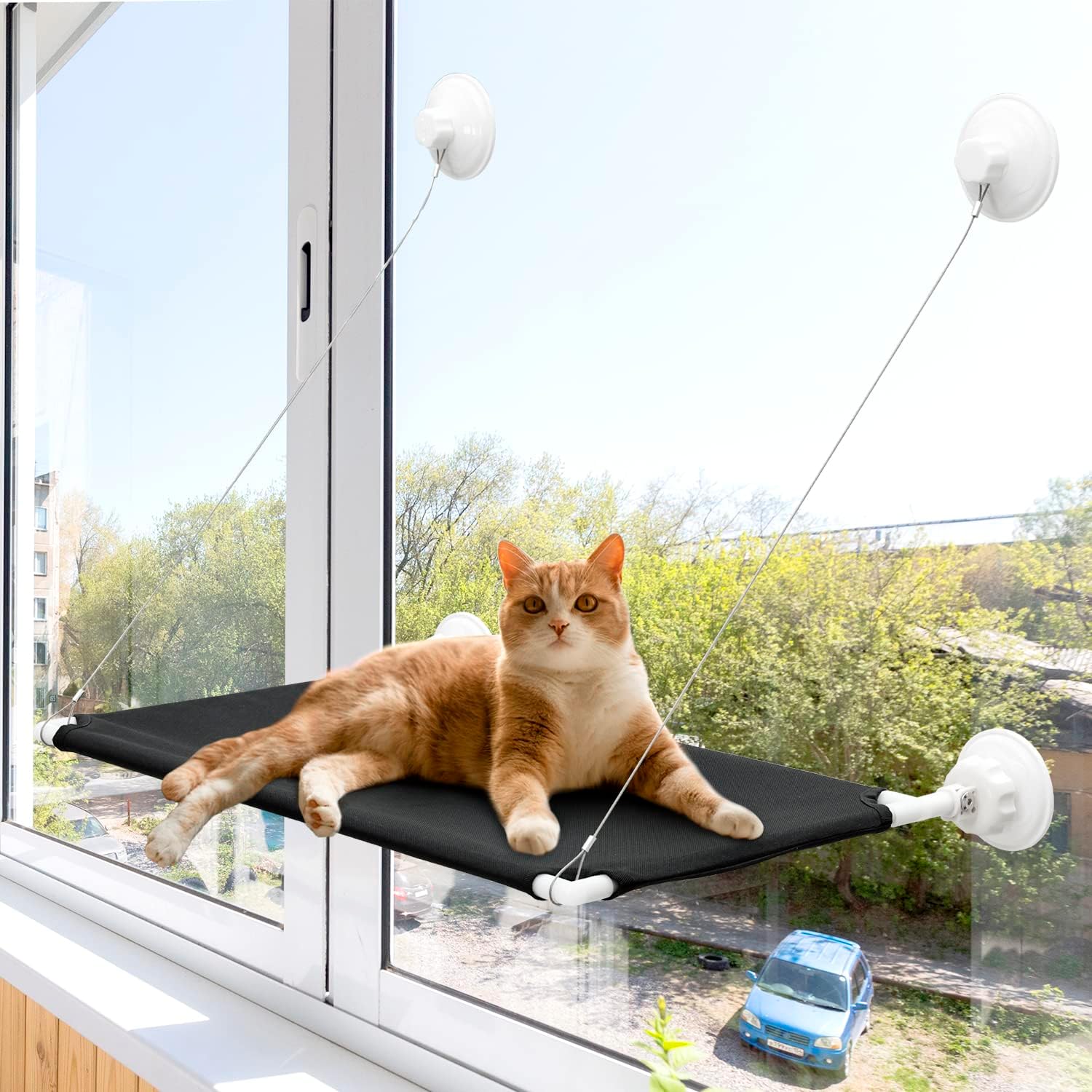 Amazon.com : PAEANPAW Cat Window Perch, Cat Window Hammock with Space ...