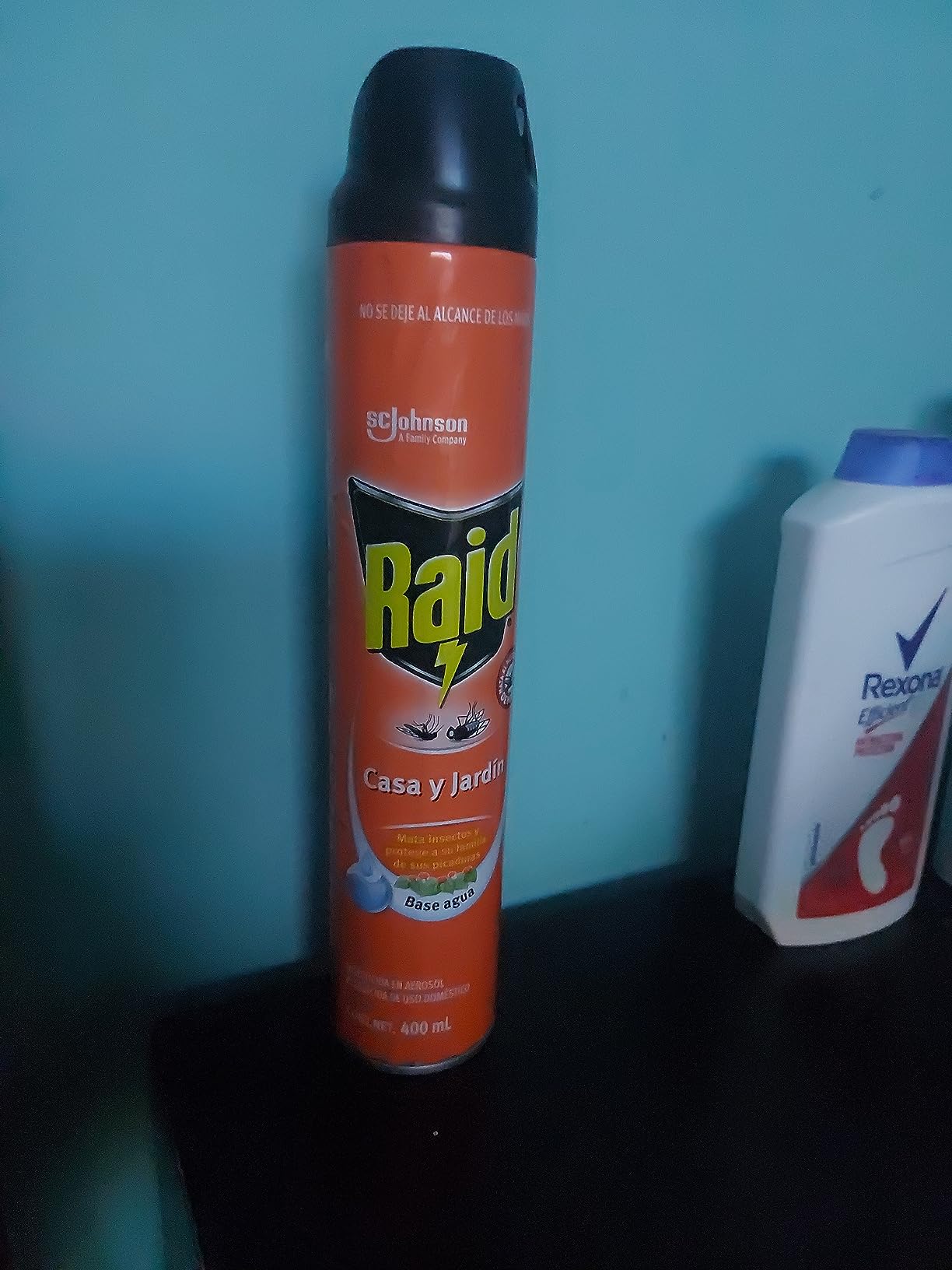 RAID® Insecticida en Aerosol para Casa y Jardín 400 mL : Amazon.com.mx ...