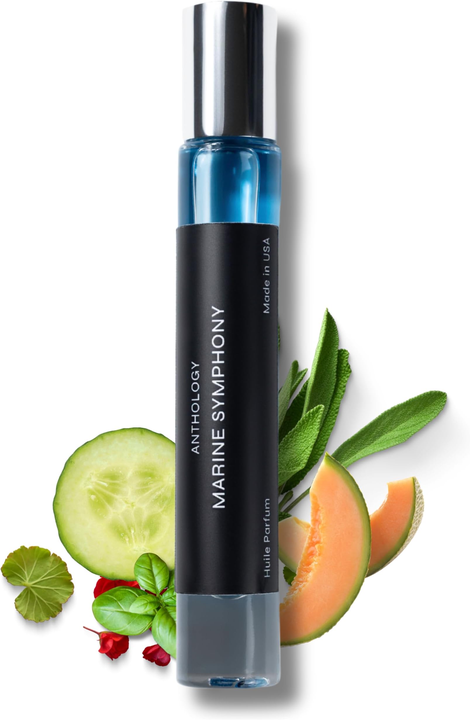 Amazon.com : Anthology Marine Symphony Men's Perfume Oil 0.3oz ...