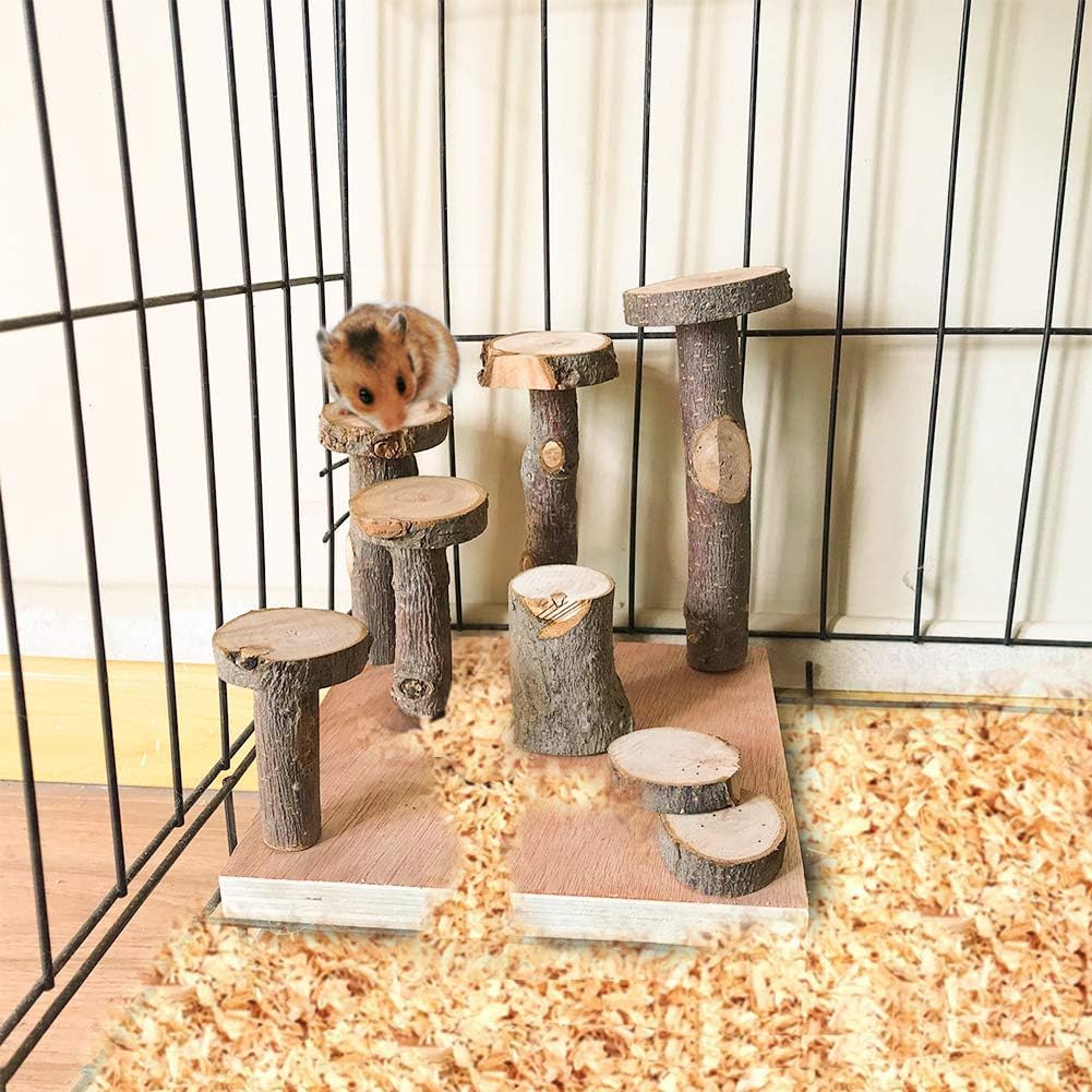 Snapklik.com : Hamster Climbing Wooden Stand Platform, Hamster Cage ...