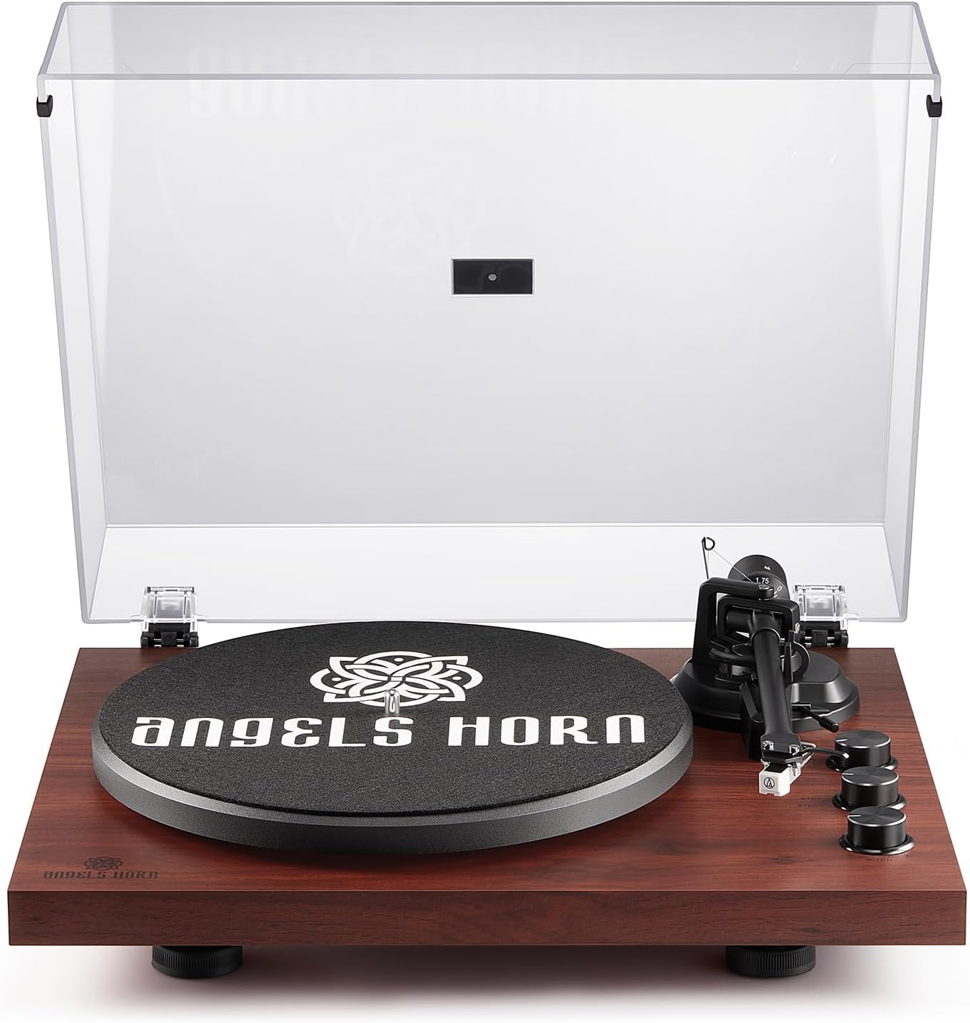 Amazon.com: ION Audio Archive LP | Digital Conversion Turntable with ...