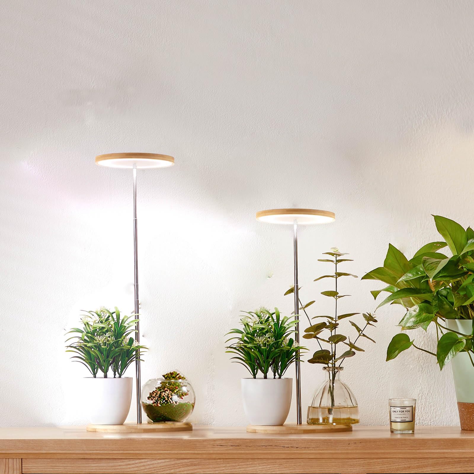 Amazon.com: Plant Grow Light for Indoor Plant,Bamboo Mini LED Grow ...