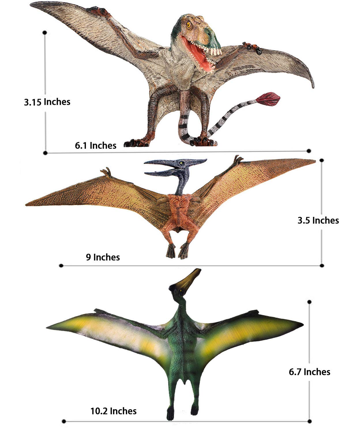 Flying Dinosaurs Types