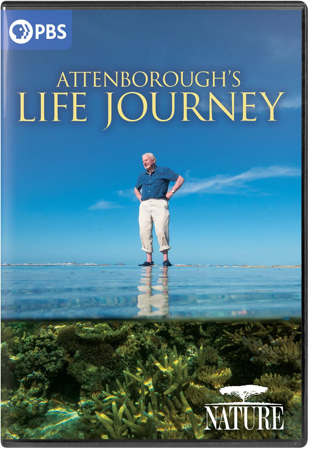 Amazon.com: NATURE: Attenborough's Life Journey DVD : Tom Park, Oliver ...
