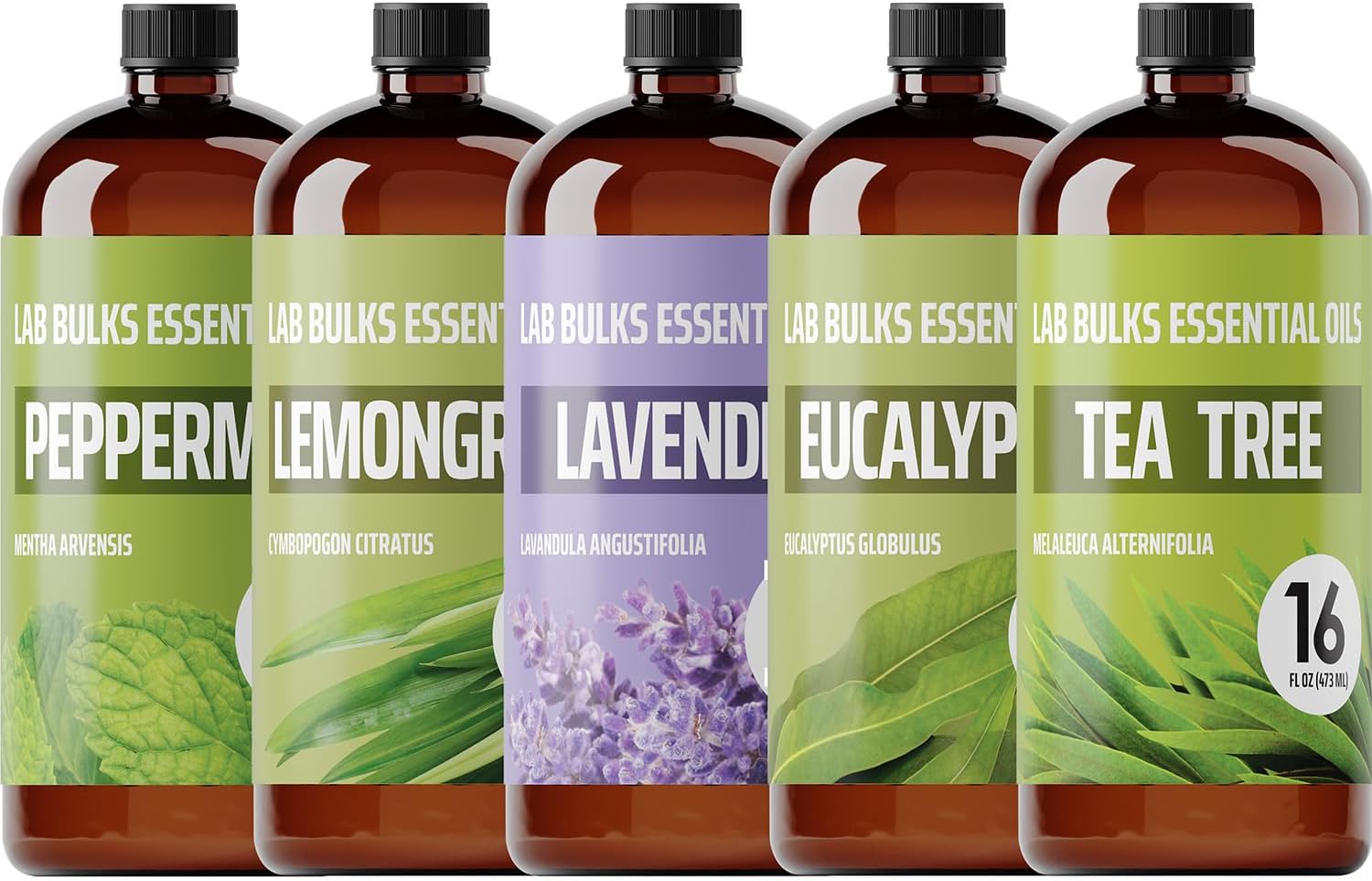 Amazon.com: LAB BULKS ESSENTIAL OIL - Bundle of 5-16 oz Bottles, for ...