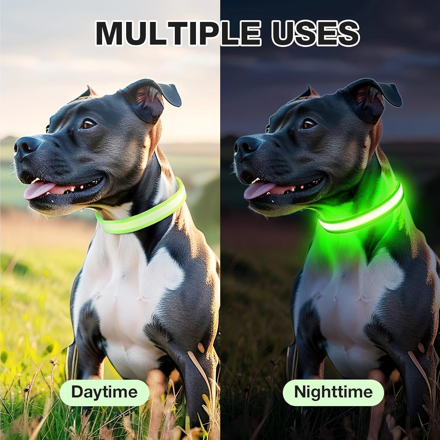 Snapklik.com : Pceotllar Light Up Collar - Rechargeable Led Dog Collar