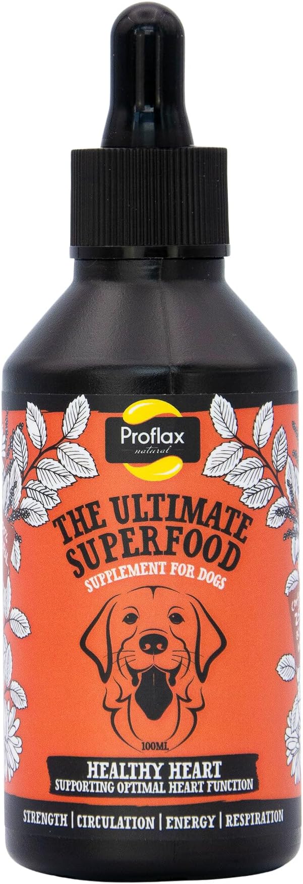 Proflax Natural Healthy Heart Supplement for Dogs, 100ml - Heart ...