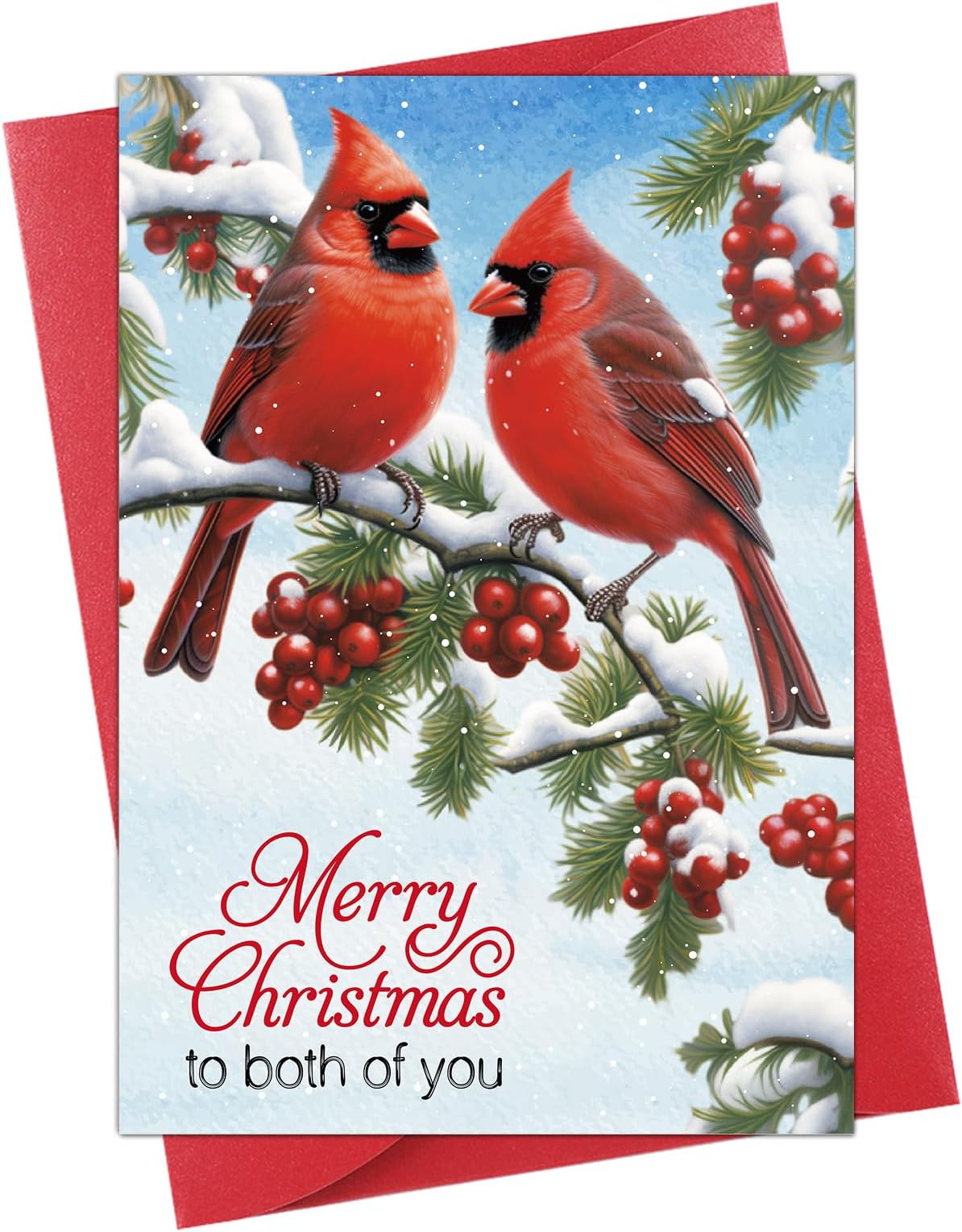 Amazon.com : WhatSign Cardinal Christmas Cards Merry Christmas To Both ...