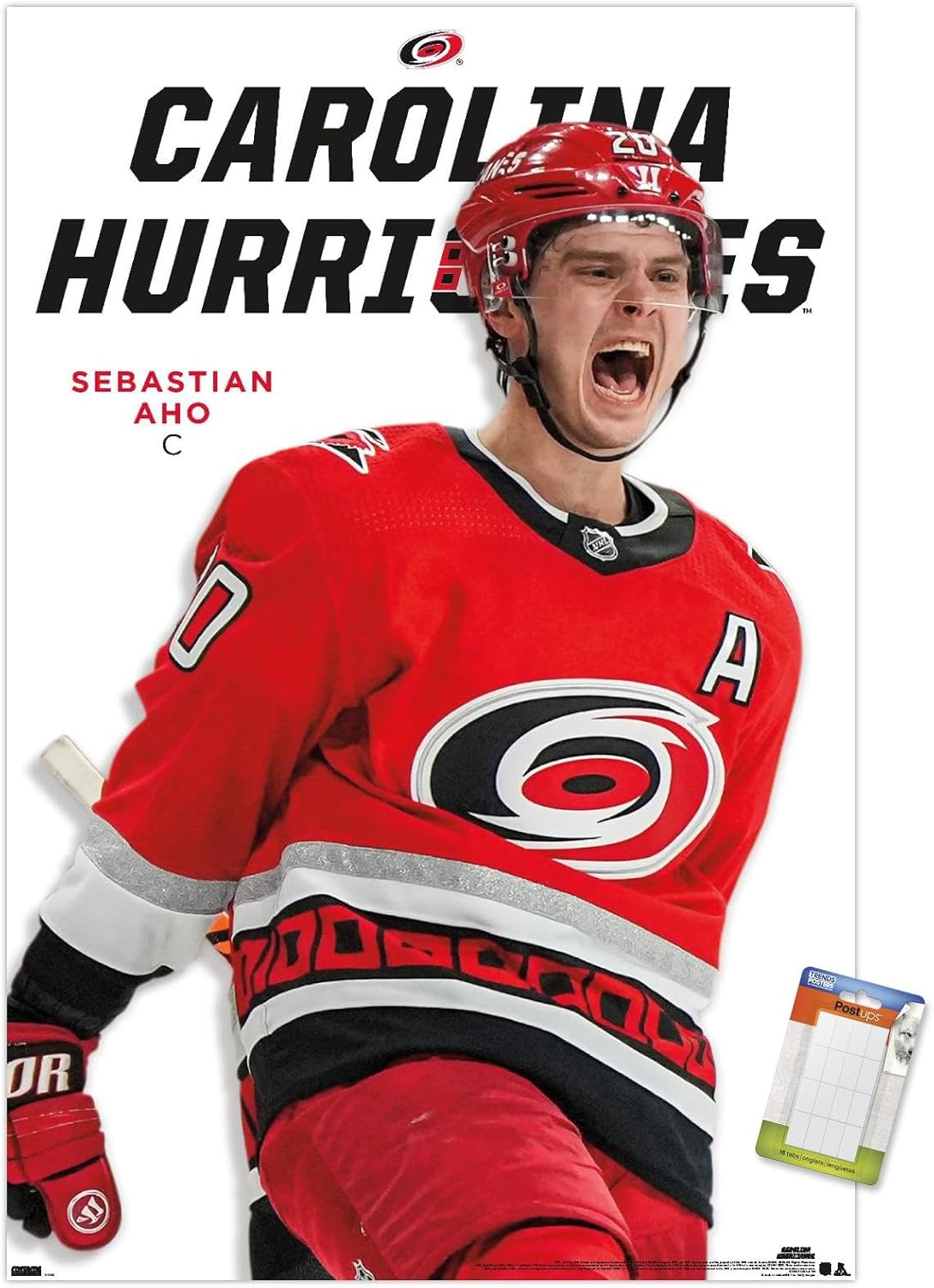 Amazon.com: Trends International NHL Carolina Hurricanes - Sebastian ...