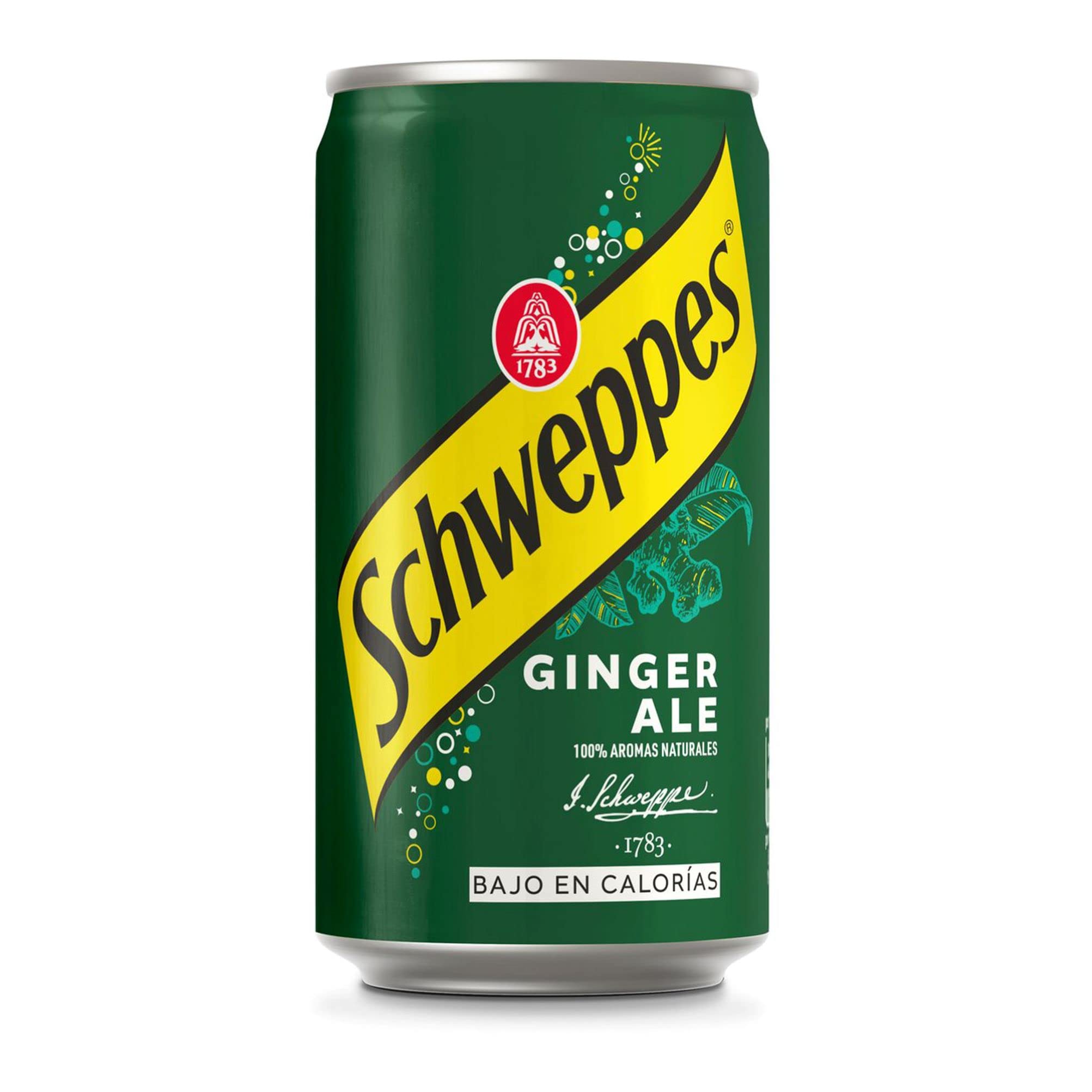 Schweppes Ginger Ale Bebida Refrescante - 250 ml Pack 24 : Amazon.co.uk ...