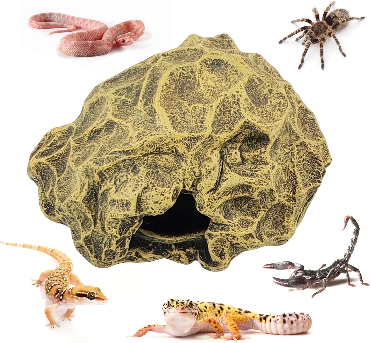 Amazon.com : MUYG Small Hideout for Reptiles,Reptile Hide Cave Resin ...