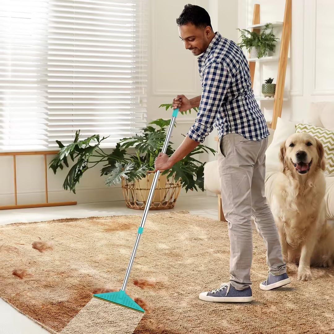 Amazon.com: Carpet Rake for Pet Hair Removal, Reusable Cat Dog Hair ...