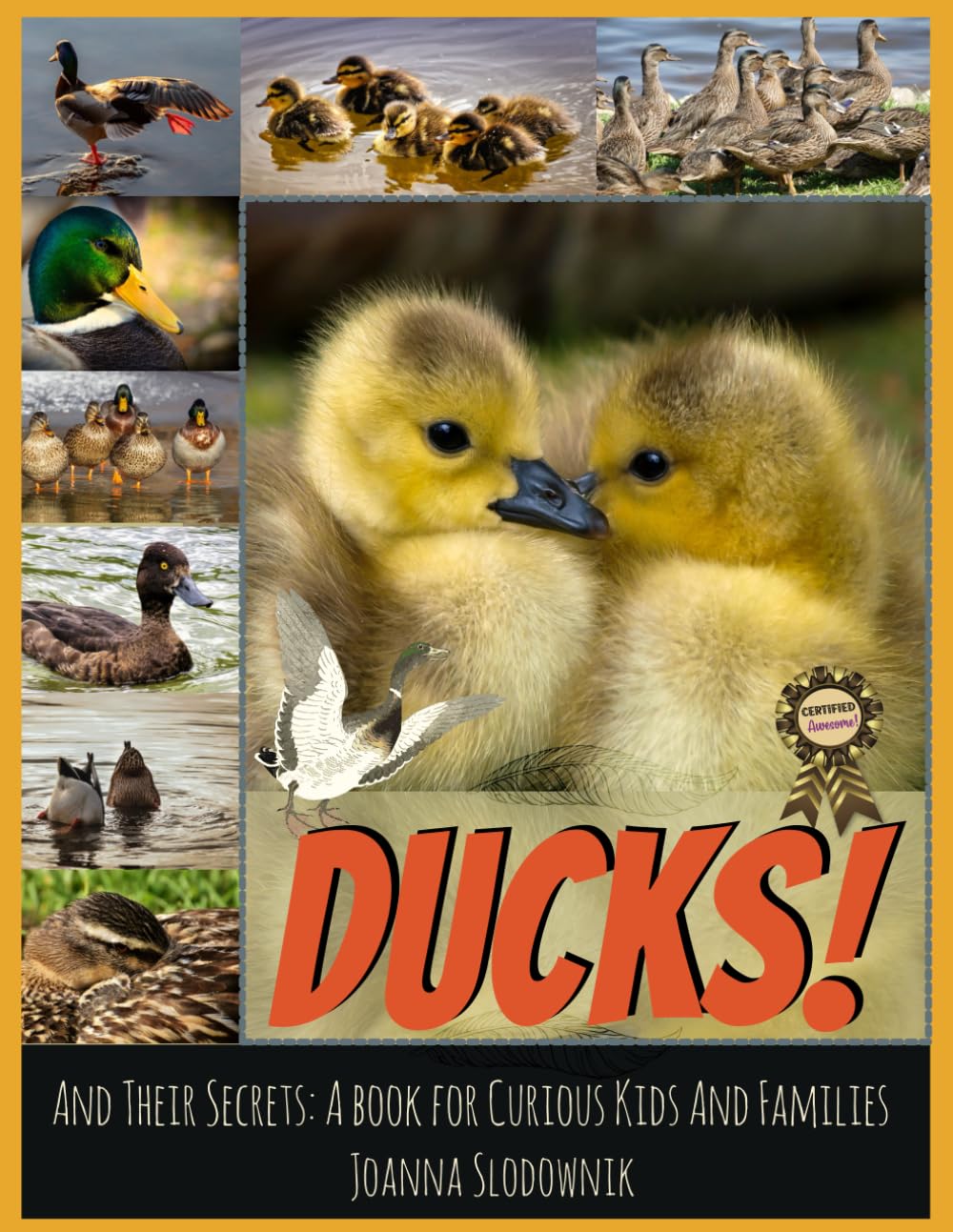 Ducks! And Their Secrets: A Book for Curious Kids and Families (Animals ...