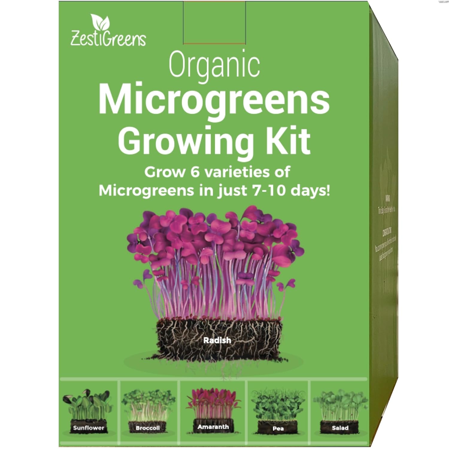 Microgreens Growing Kit, 6-Grow Variety Pack with Most Popular ...