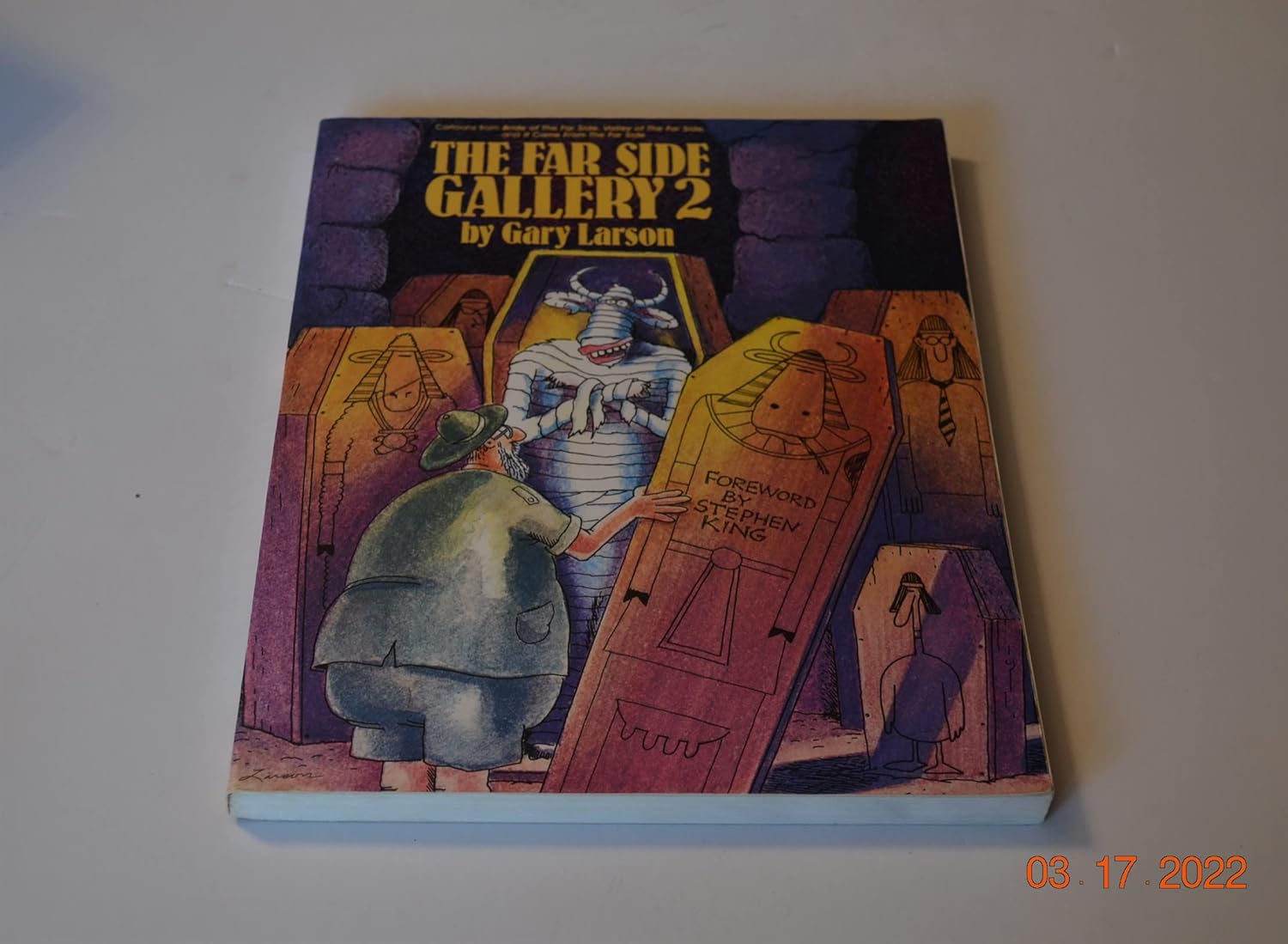 The Far Side Gallery 2: No. 2: Amazon.co.uk: Larson, Gary, Larson, Gary ...