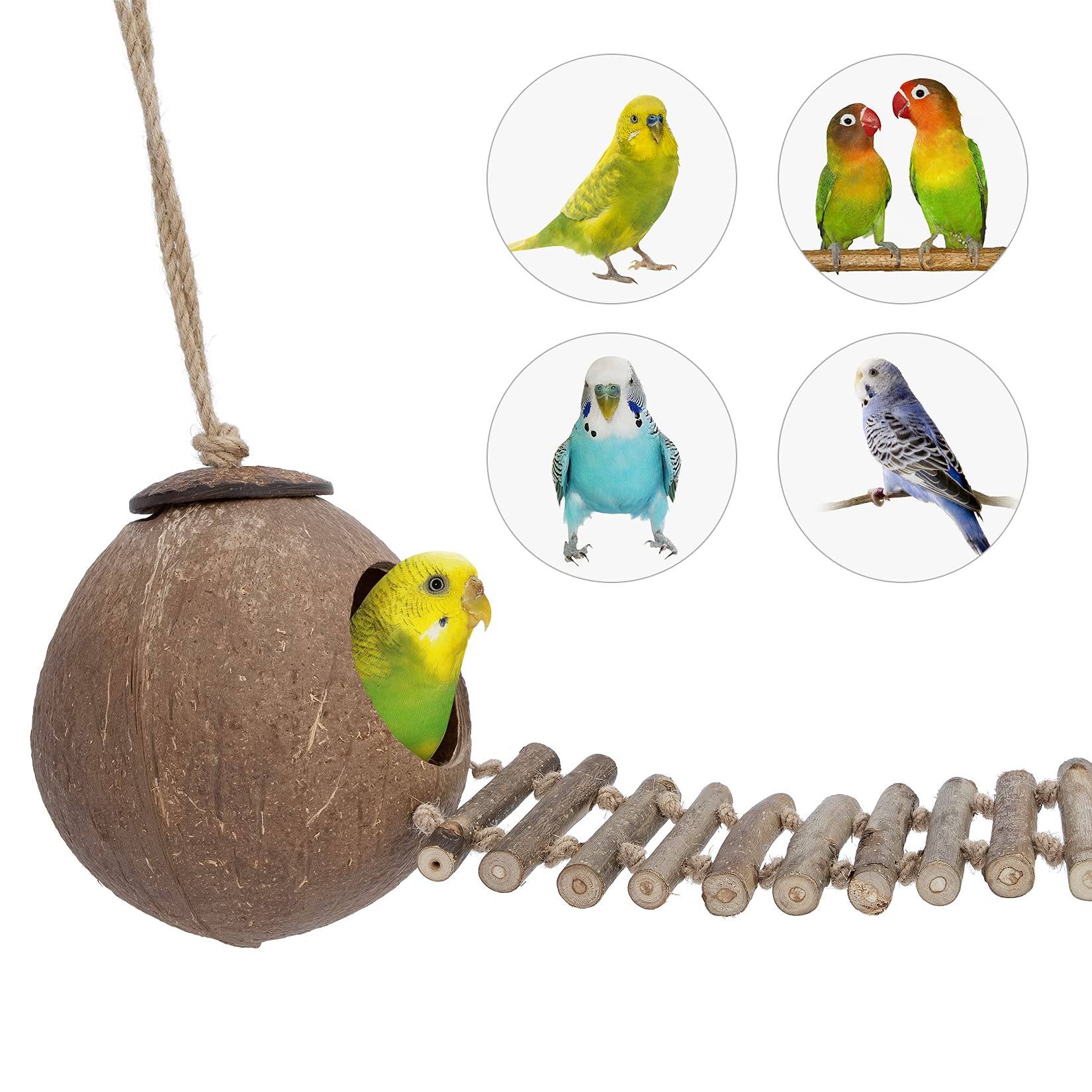 Niteangel Natural Coconut Hamster Hideaway with Ladder, Bird and Small ...
