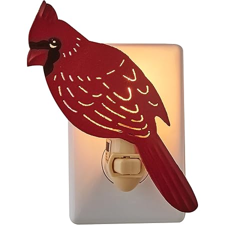 Amazon.com: BANBERRY DESIGNS Decorative Cardinal Night Light - Bright ...