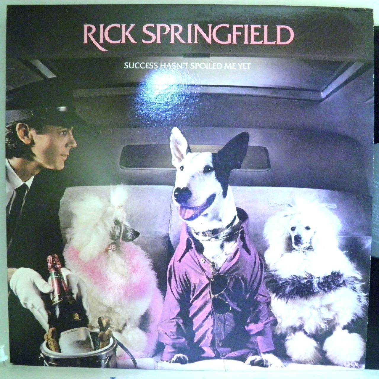 Amazon.co.jp: リック・スプリングフィールド rick springfield 「アメリカン・ガール SUCCESS HASN'T ...