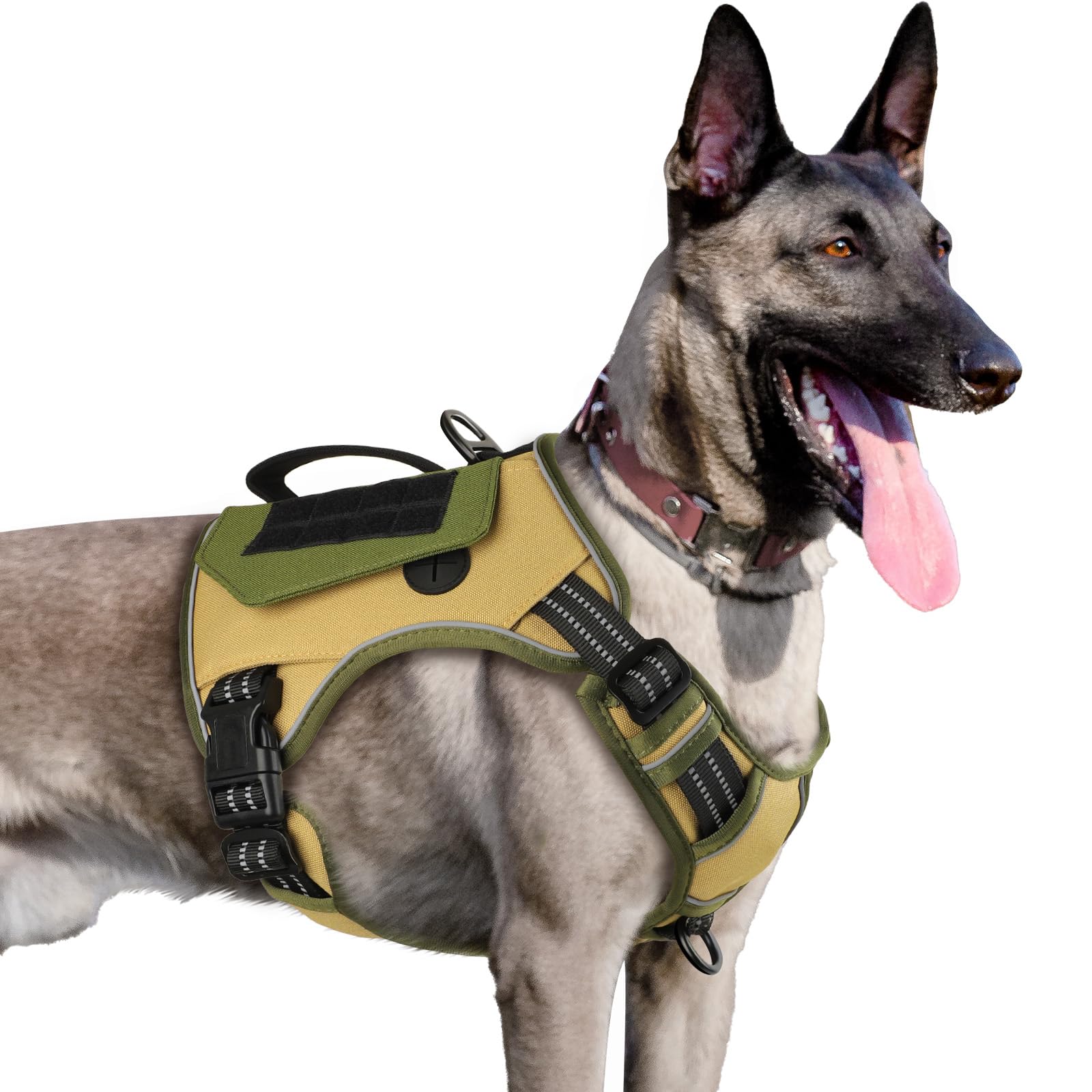 Amazon.com : WINGOIN Upgraded Tactical Dog Harness （ Green&Khaki, L ...