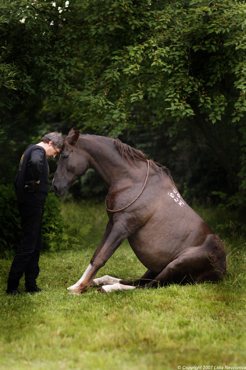 Amazon.ca: Alexander Nevzorov: books, biography, latest update