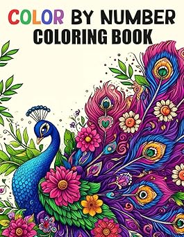 Amazon.com: Large Print Color By Number Coloring Book: Easy Large Print ...