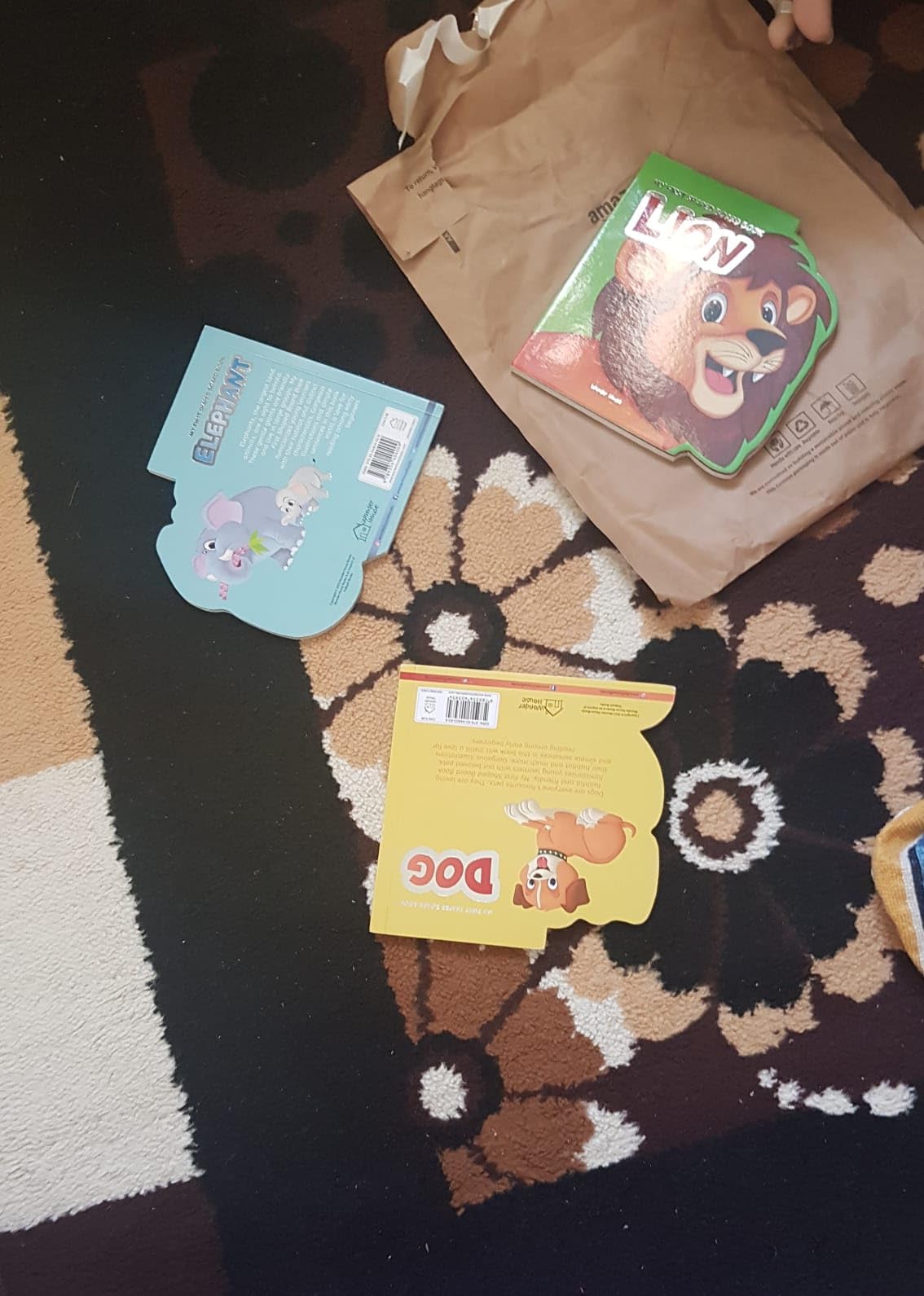 My First Shaped Board Book: Illustrated Lion - Animal Picture Book for ...