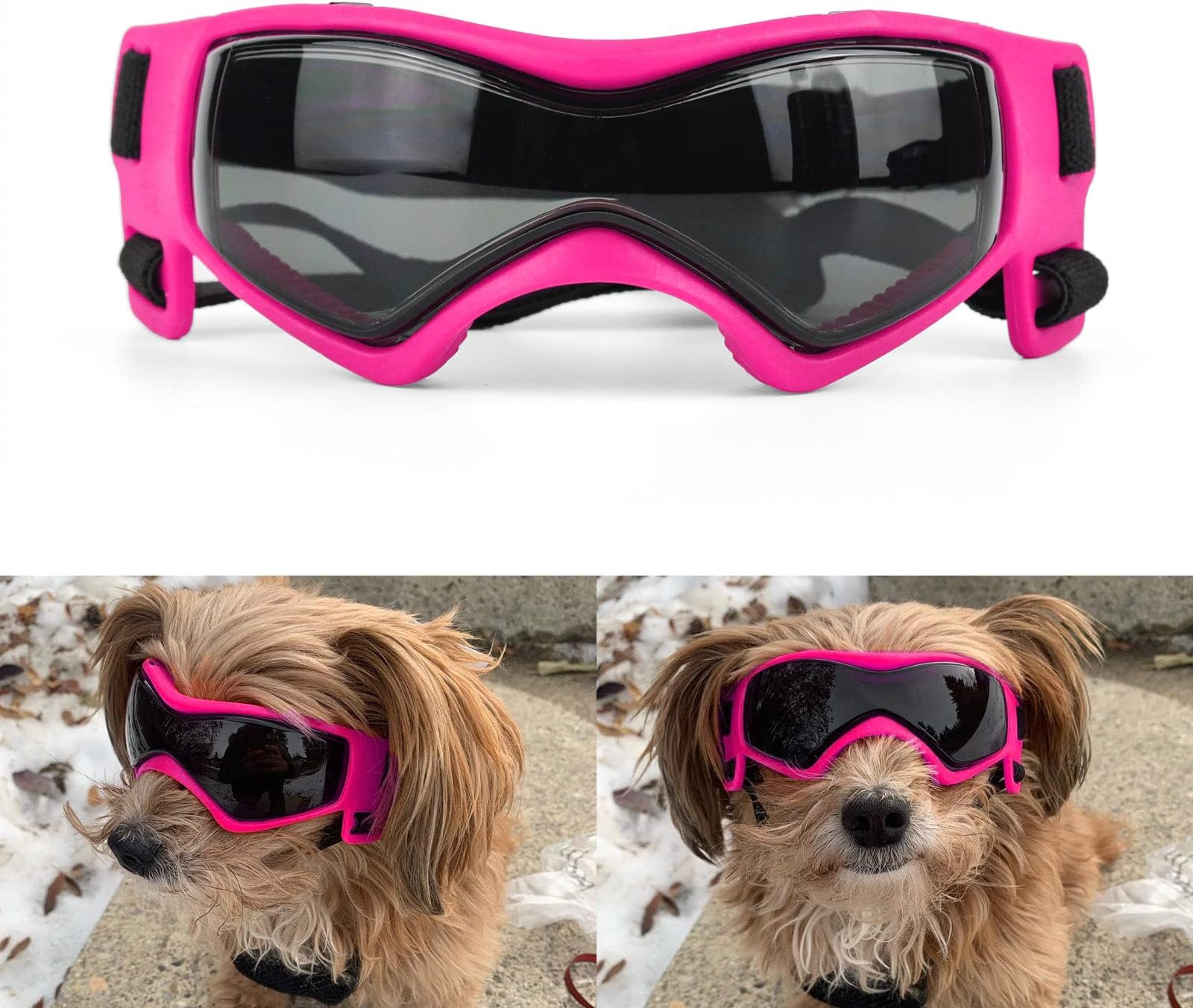 Amazon.com : Dog Goggles Medium Breed, Dog Sunglasses Small Breed Dog ...