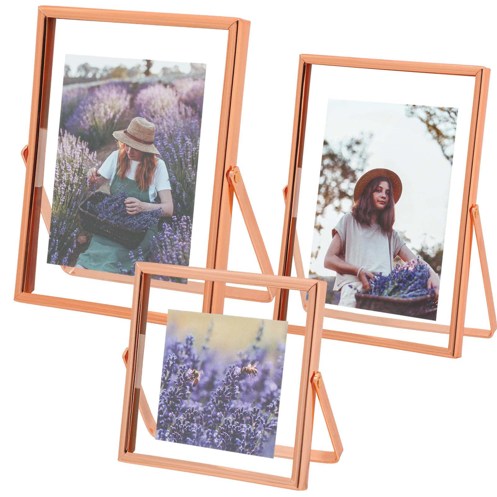 Snapklik.com : Floating Gold Picture Frames, Set Of 3, Rose Gold Metal ...
