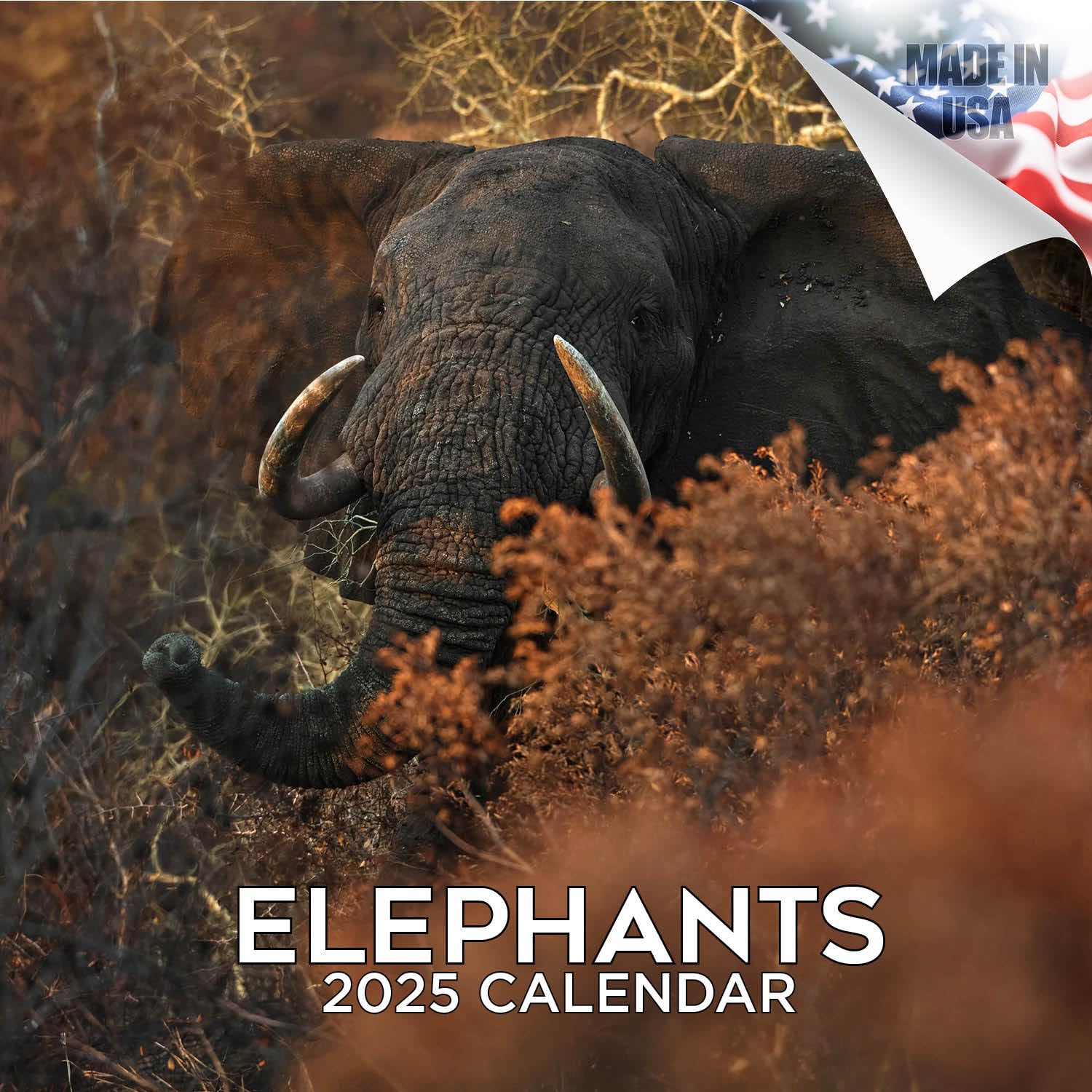 Amazon.com : 2024 2025 Elephants Calendar - African Wildlife Monthly ...