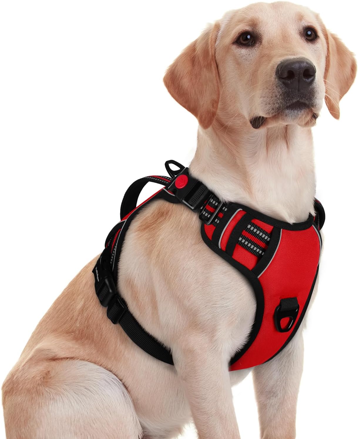 Amazon.com : rabbitgoo Dog Harness Medium Sized, No Pull Pet Harness ...