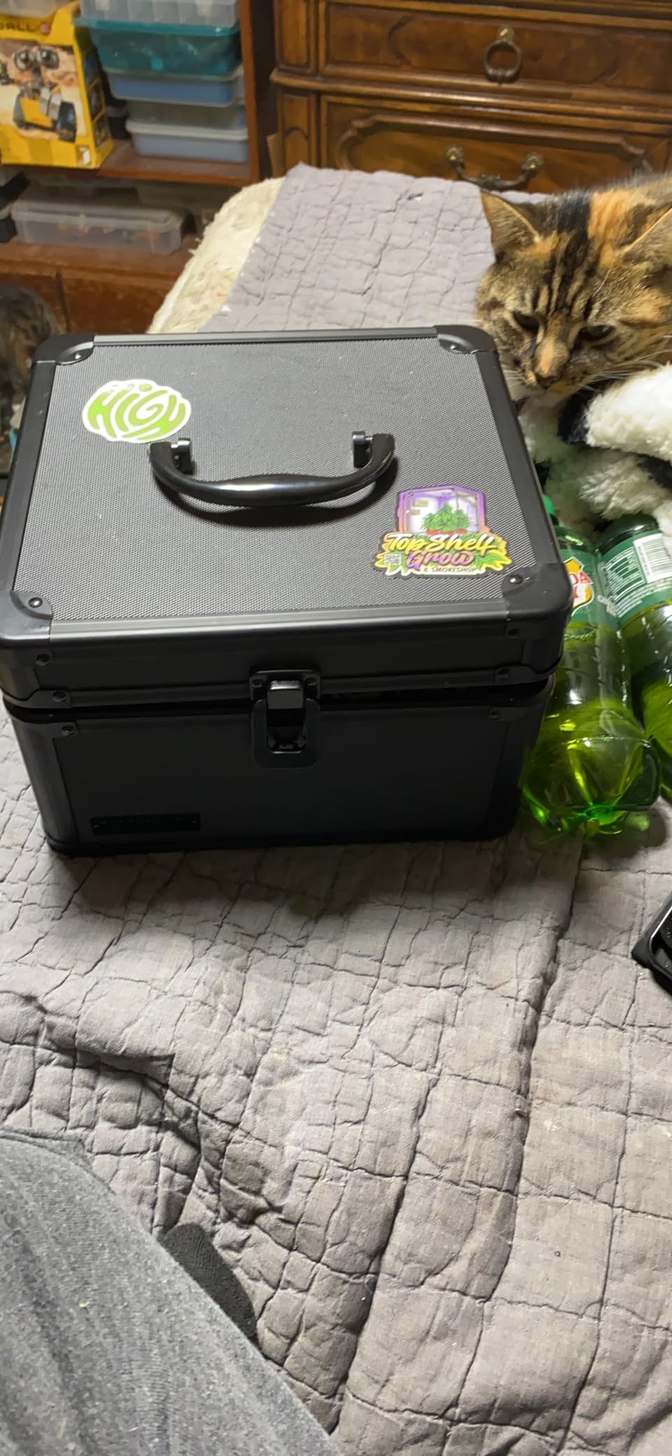 $11/mo - Finance Vaultz Portable Safe Box - 10 x 10 x 6.5 Inch Large ...