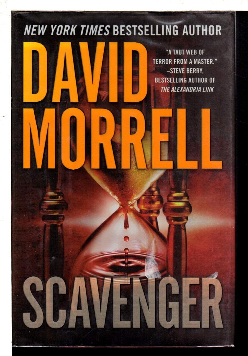 Amazon.com: Scavenger: 9781593154417: Morrell, David: Books