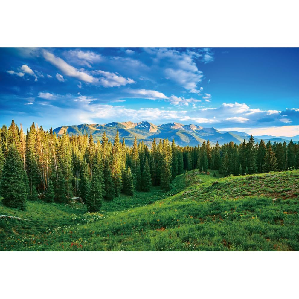 Amazon.com : Anncsssy 6x4ft Nature Landscape Photography Backdrop ...