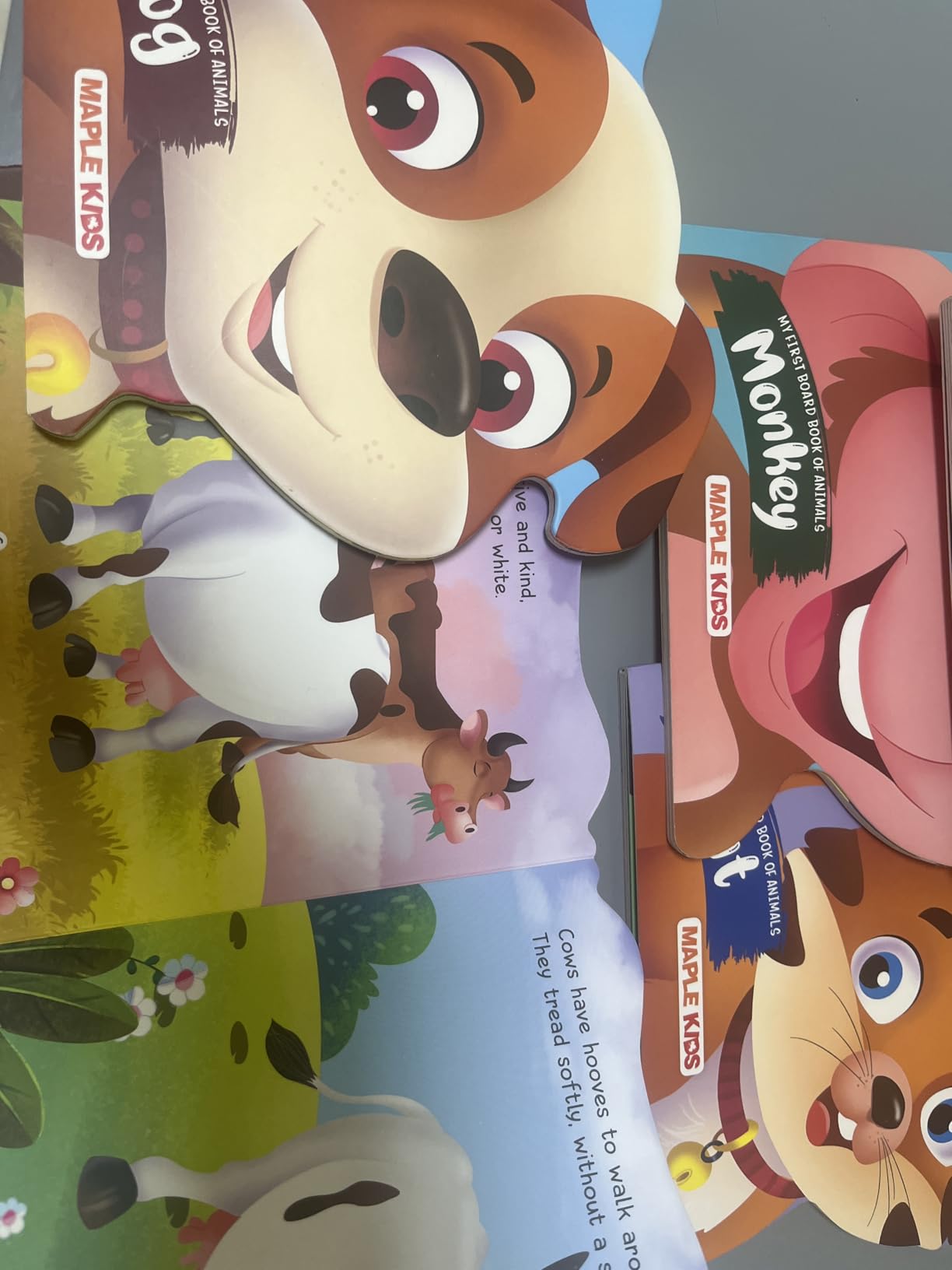 Buy My First Board Book Animals (Set of 5 Books) - Monkey, Cow, Dog ...