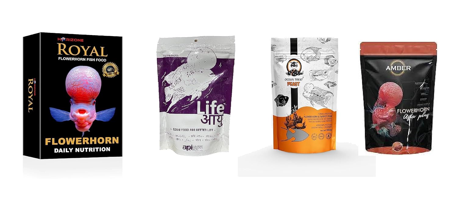 Best flowerhorn Fish Food Collection 4 in 1 Combo : Amazon.in: Pet Supplies