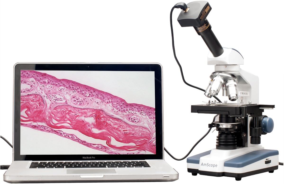 Amazon.com: AmScope M620B-3M Digital Compound Monocular Microscope ...