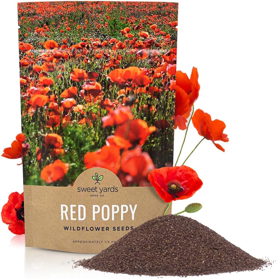Amazon.com : Red Poppy Seeds - Bulk 1/4 Pound Bag - Over 800,000 ...